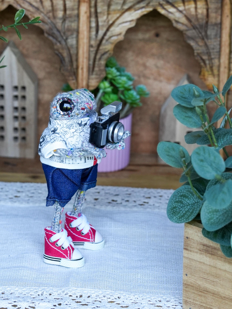 Mr. Finn Snapper – NATA VLADI